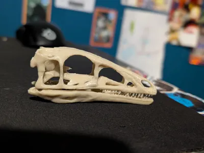 Compsognathus Dinosaur Skull by Marton MakerWorld: Download Free 3D Models