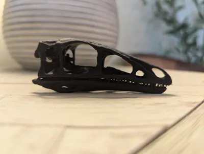 Compsognathus Dinosaur Skull by Marton MakerWorld: Download Free 3D Models