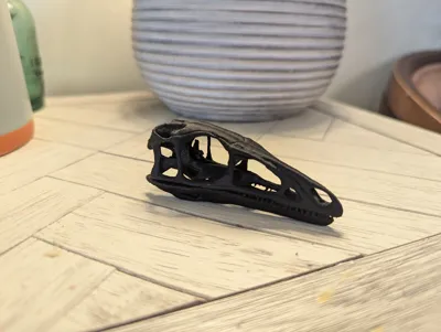 Compsognathus Dinosaur Skull by Marton MakerWorld: Download Free 3D Models