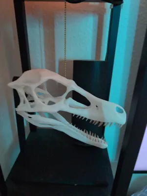 Compsognathus Dinosaur Skull by Marton MakerWorld: Download Free 3D Models