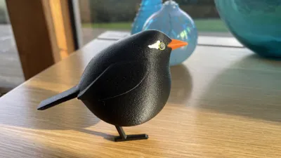 Fluffy Birds - Blackbird by Alchemic Matter MakerWorld: Download Free ...