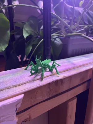 Print-in-Place Articulated Mantis Mech (Optimized) by 1230x MakerWorld ...