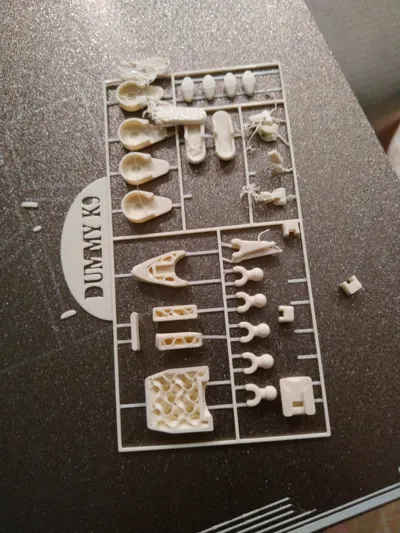 Dummy 13 Dog/K9 companion kit card - Free 3D Print Model - MakerWorld