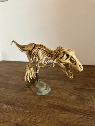 T-Rex Skeleton fixed Remixed by Eskalibure MakerWorld: Download Free 3D ...