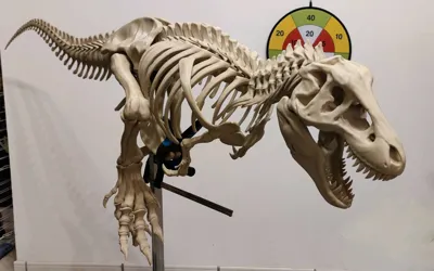 T-Rex Skeleton fixed - Free 3D Print Model - MakerWorld