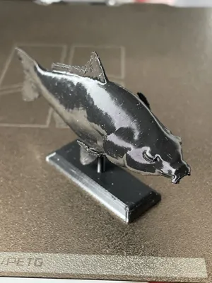 Carp Fish Mount by Fish Prints MakerWorld: Download Free 3D Models