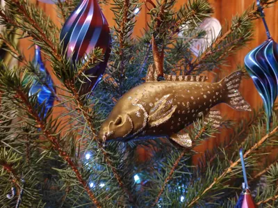 Carp Fish Mount by Fish Prints MakerWorld: Download Free 3D Models