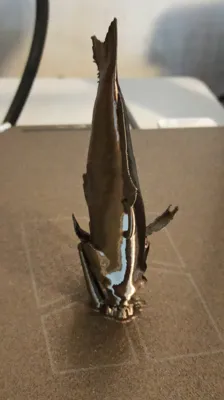 Carp Fish Mount by Fish Prints MakerWorld: Download Free 3D Models