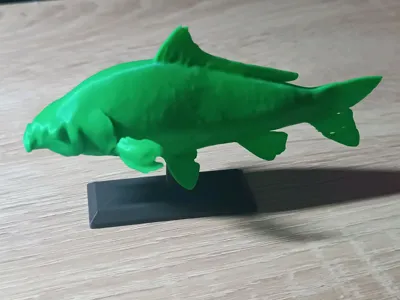 Carp Fish Mount by Fish Prints MakerWorld: Download Free 3D Models