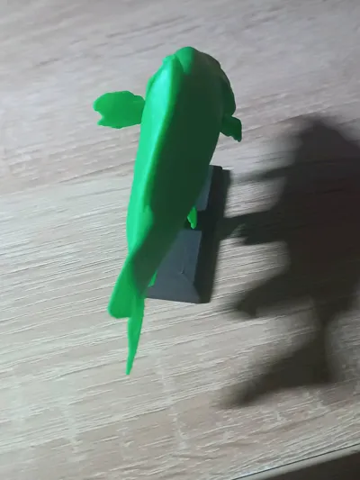 Carp Fish Mount by Fish Prints MakerWorld: Download Free 3D Models