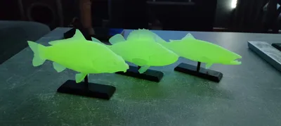 Carp Fish Mount by Fish Prints MakerWorld: Download Free 3D Models