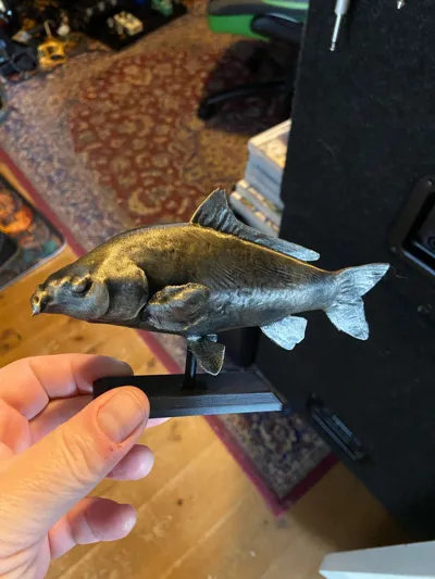 Carp Fish Mount by Fish Prints MakerWorld: Download Free 3D Models