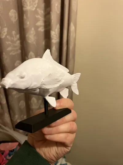 Carp Fish Mount by Fish Prints MakerWorld: Download Free 3D Models