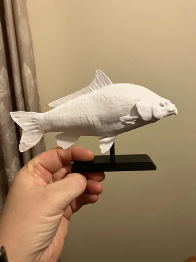 Carp Fish Mount by Fish Prints MakerWorld: Download Free 3D Models