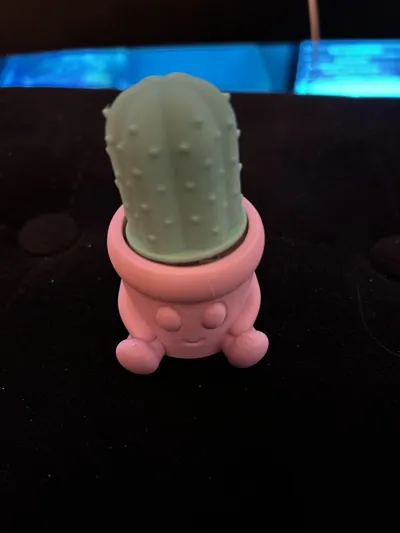 Cute Cactus Succulent Keyboard Clicker No Supports by 3DeepDesigns ...