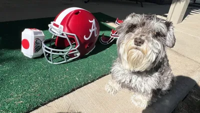 Alabama Crimson Tide Football Helmet - Free 3D Print Model - MakerWorld