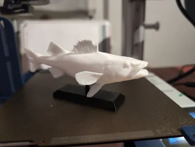 Walleye Fish Mount by Fish Prints MakerWorld: Download Free 3D Models