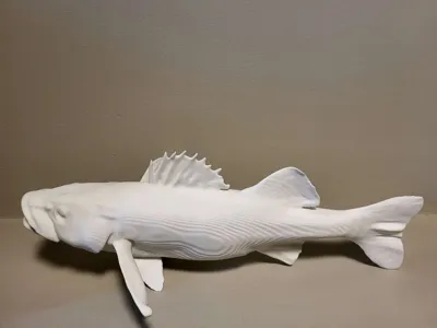 Walleye Fish Mount - Free 3D Print Model - MakerWorld