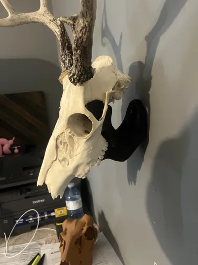 Skull Mount Wall Bracket by DTM247 MakerWorld: Download Free 3D Models