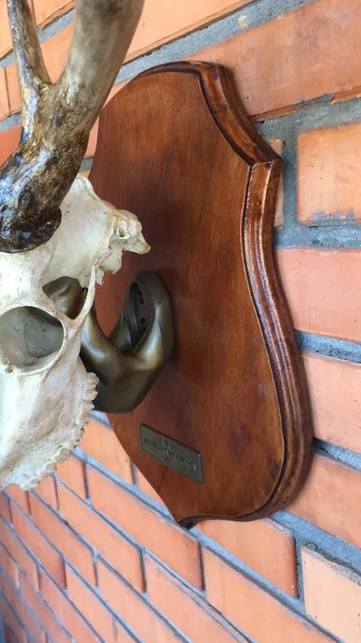 Skull Mount Wall Bracket by DTM247 MakerWorld: Download Free 3D Models