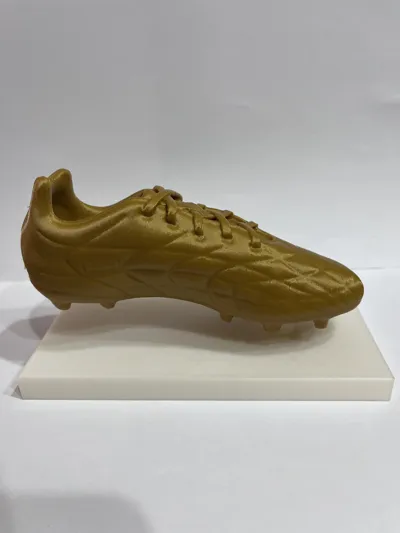 Golden Boot Trophy by custom3dmodels MakerWorld: Download Free 3D Models