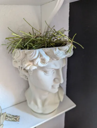 David planter by Byambaa MakerWorld: Download Free 3D Models