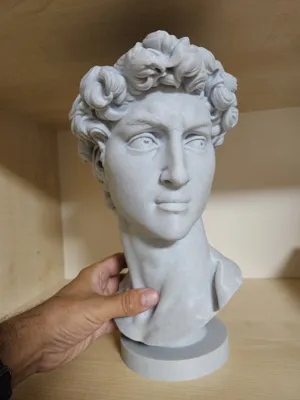 David planter by Byambaa MakerWorld: Download Free 3D Models