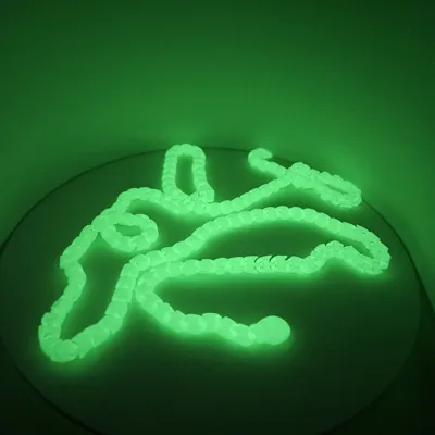 Tiny Flexi Snake 'As Long As It Gets One' by Paulies Prints MakerWorld ...