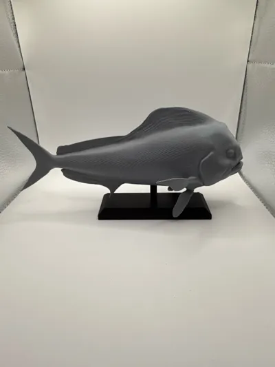 Mahi Mahi Fish Mount by Fish Prints MakerWorld: Download Free 3D Models