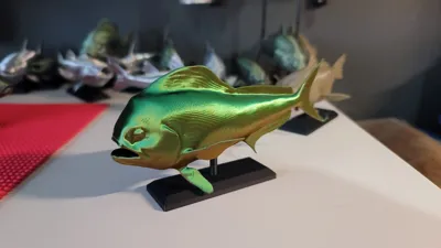 Mahi Mahi Fish Mount by Fish Prints MakerWorld: Download Free 3D Models