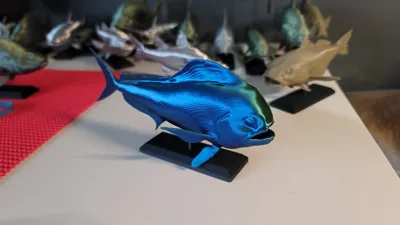 Mahi Mahi Fish Mount by Fish Prints MakerWorld: Download Free 3D Models