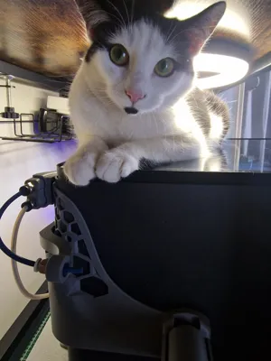 Poop Chute Bin Cat Defender Edition - X1C P1S P1P by eclien MakerWorld ...