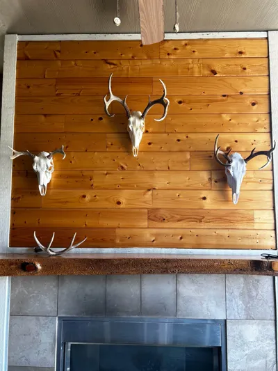 Deer Skull Antler Mount - New Snap/Lock antlers by DTM247 MakerWorld ...