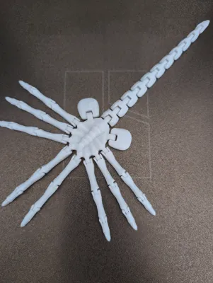 Flexi Facehugger Xenomorph Alien VS Predator Articulated flexible print ...