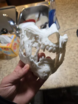 Tooth Fairy - Free 3D Print Model - MakerWorld