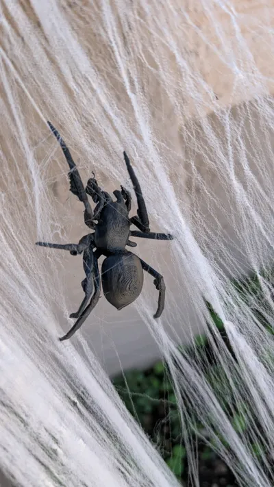 life like Spider - Free 3D Print Model - MakerWorld