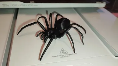 life like Spider - Free 3D Print Model - MakerWorld