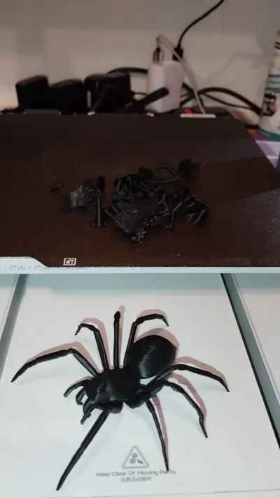 life like Spider by T-Steele-W Creations MakerWorld: Download Free 3D ...