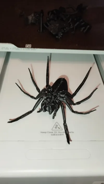 life like Spider by T-Steele-W Creations MakerWorld: Download Free 3D ...