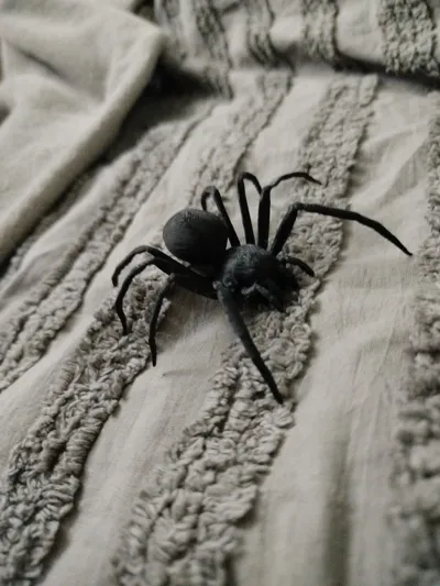 life like Spider by T-Steele-W Creations MakerWorld: Download Free 3D ...