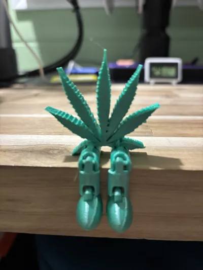 leaf buddy by neraks3d MakerWorld: Download Free 3D Models