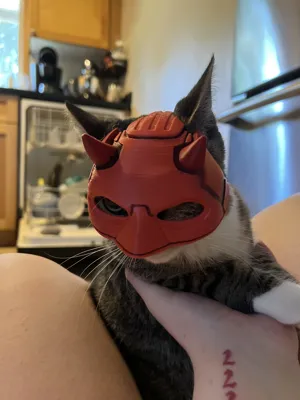 Daredevil Cat Mask by BODY3D MakerWorld: Download Free 3D Models