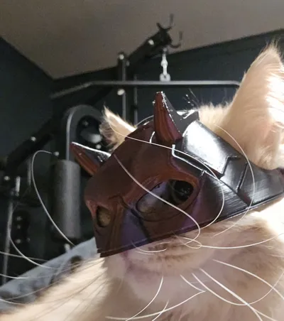 Daredevil Cat Mask by BODY3D MakerWorld: Download Free 3D Models
