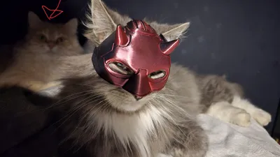 Daredevil Cat Mask by BODY3D MakerWorld: Download Free 3D Models