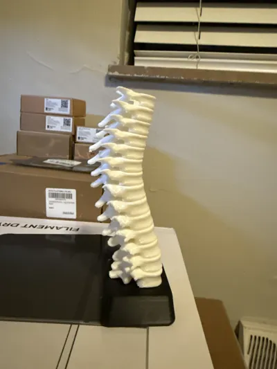 Spine Candle Holder v 2.1 Remixed by Ty Robbins MakerWorld: Download Free 3D Models