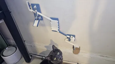 Meowballs: A Marble Run Treat Dispenser by SAAK.Studio MakerWorld: Download Free 3D Models