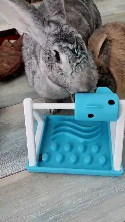 Cat Treat Dispenser by Qrafted Engineering MakerWorld: Download Free 3D Models