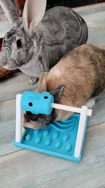 Cat Treat Dispenser by Qrafted Engineering MakerWorld: Download Free 3D Models