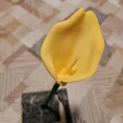 Flower Calla by cforms MakerWorld: Download Free 3D Models
