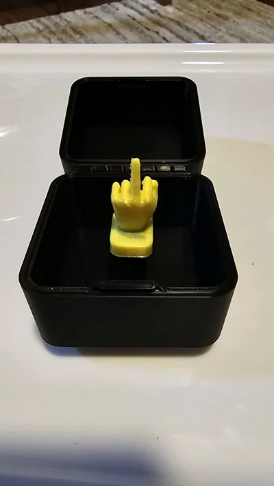 Middle Finger Gift Box with print in place hinge! by JB Designs ...